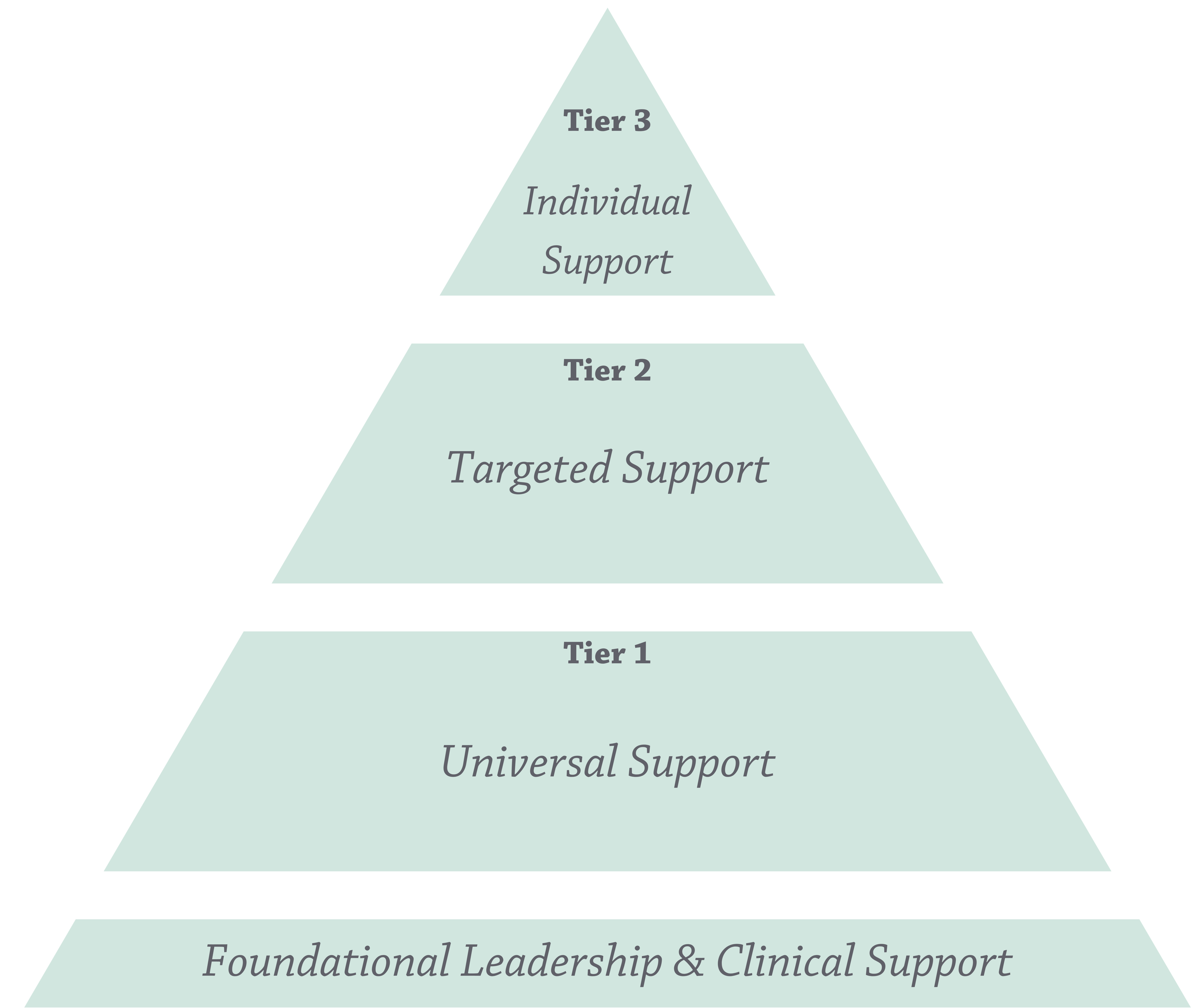 School Based Services Overview